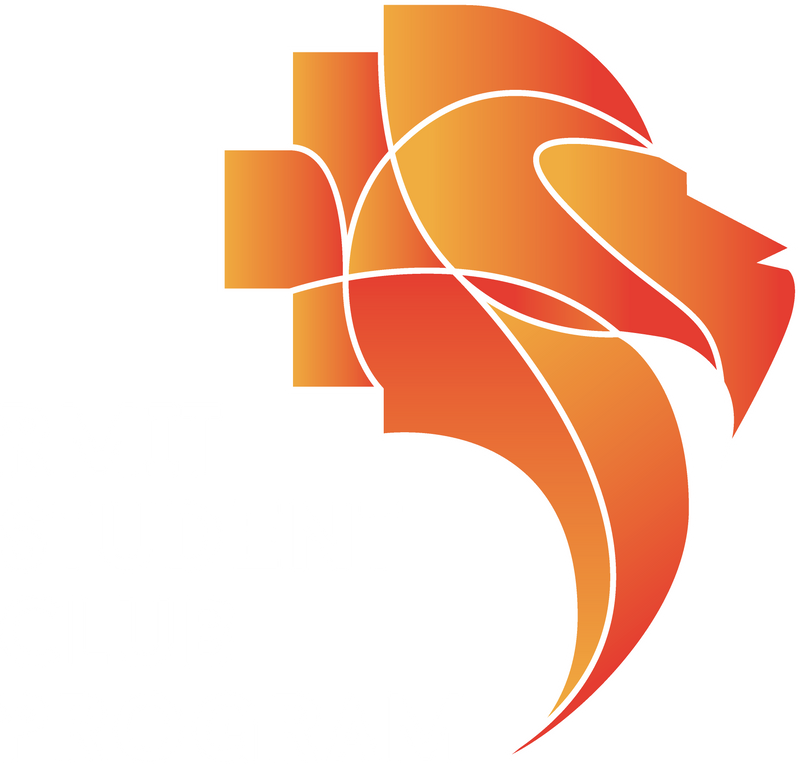 RMIT Business Analytics Champions